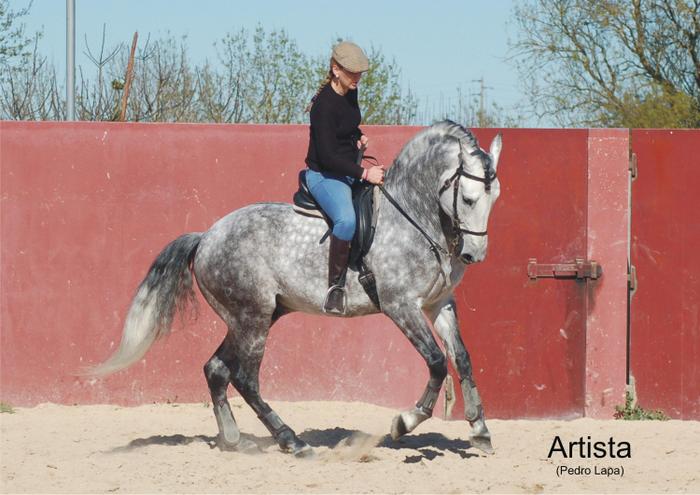 Ana Batista - Quadra para a Temporada 2015 - PararTemplarMandar
